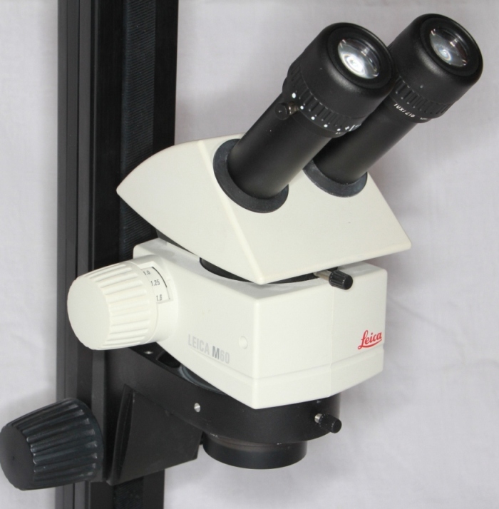 Leica M60 Stereo Microscope at Tyler Angel blog