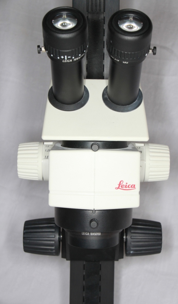 Leica M60 Stereo Microscope at Tyler Angel blog