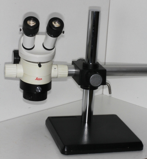 Leica MS5 Stereomikroskop – Optik-Online