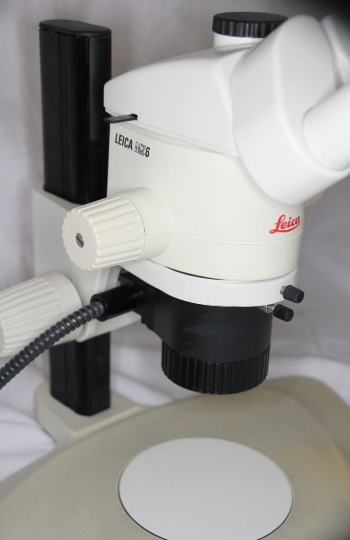 Leica MZ6 ZOOM Stereomikroskop mit Trinokulartubus, Koaxialbeleuchtung ...