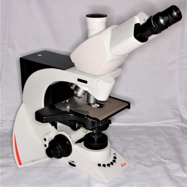 Durchlichtmikroskope – Optik-Online