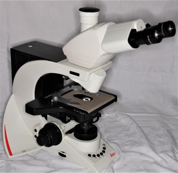 Leica DM 3000 LED Durchlichtmikroskop mit HC Plan Fluotaren ...