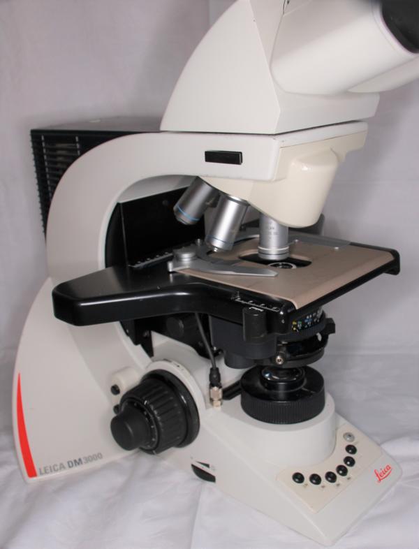 Leica DM 3000 Durchlichtmikroskop mit Trinokulartubus und motorischem ...