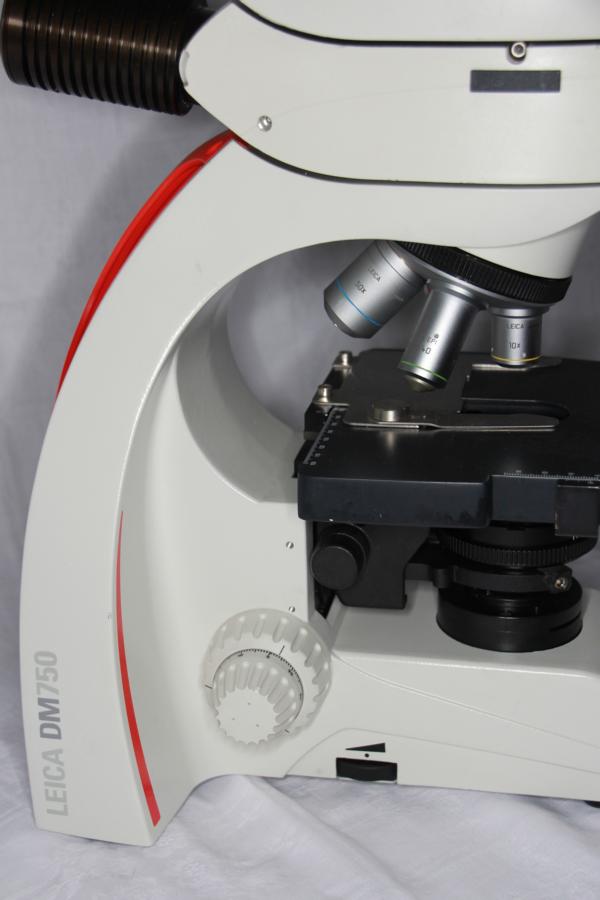 Leica DM 750 Auflicht- Durchlichtmikroskop mit LED Illuminatoreinheit ...