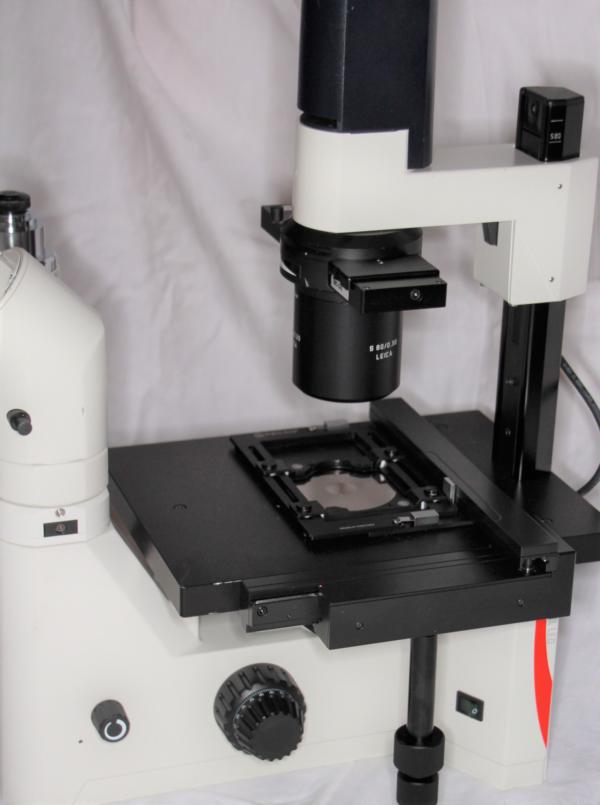 Leica DMIL LED inverses Phasenkontrastmikroskop mit LMC Kontrast und ...