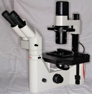 Leica DMIL LED inverses Phasenkontrastmikroskop mit LMC Kontrast und ...