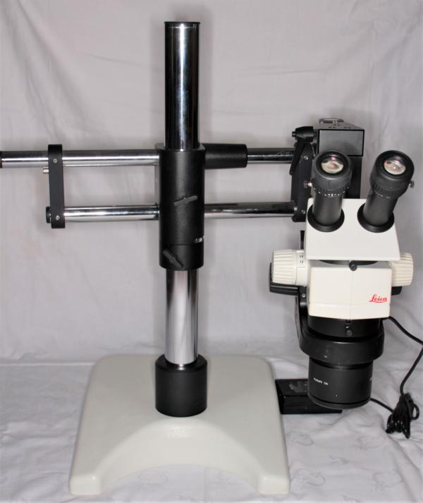 Leica M60 Stereo Microscope at Tyler Angel blog