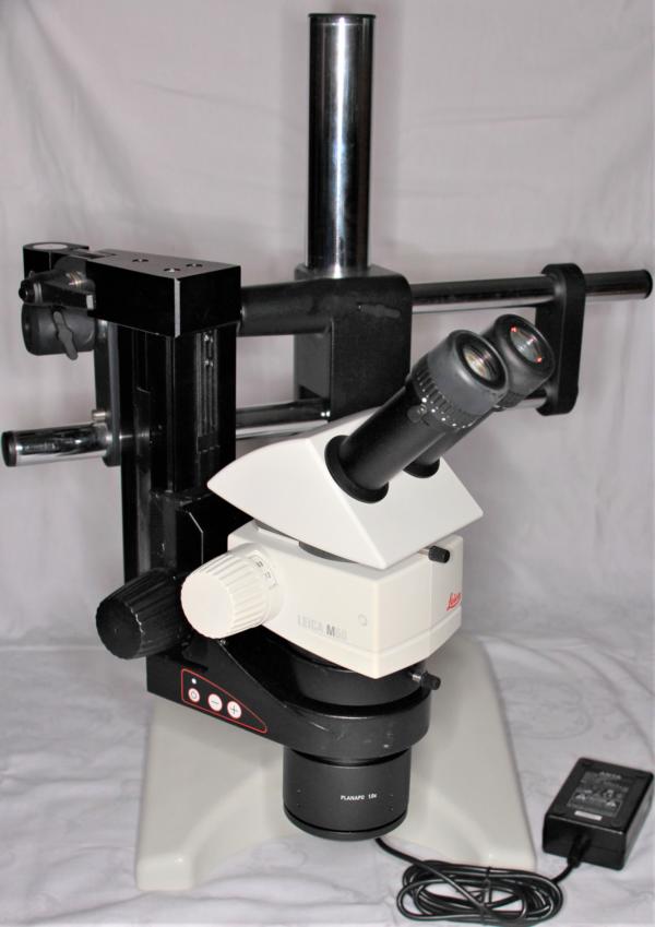 Leica M60 Stereo Microscope at Tyler Angel blog