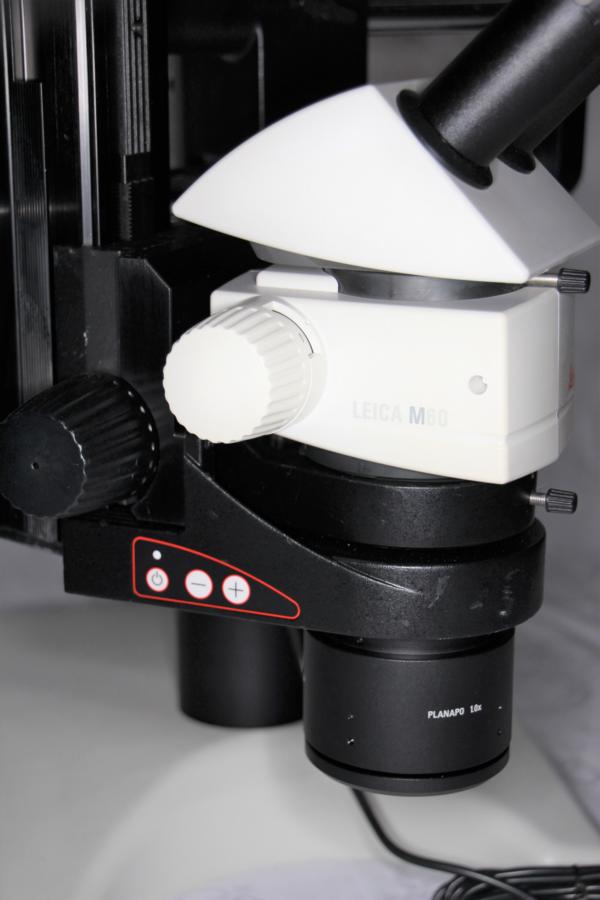 Leica M60 Stereo Microscope at Tyler Angel blog