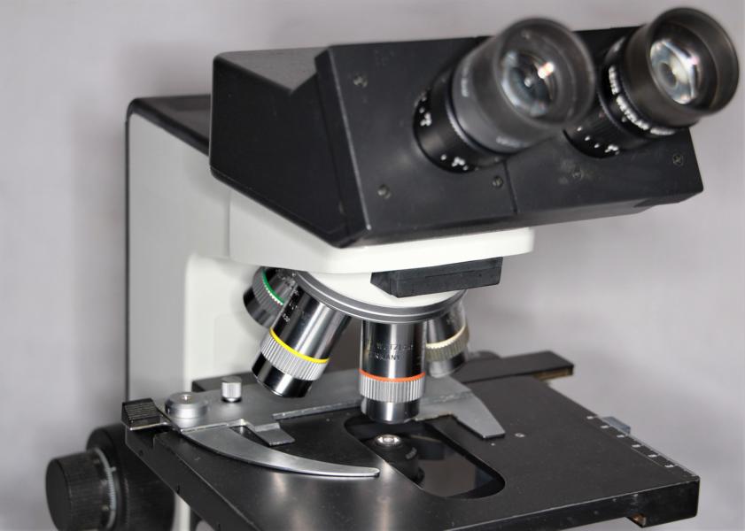 Leitz Laborlux S Mikroskop – Optik-Online