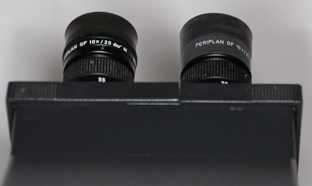 Leitz Laborlux S Mikroskop – Optik-Online