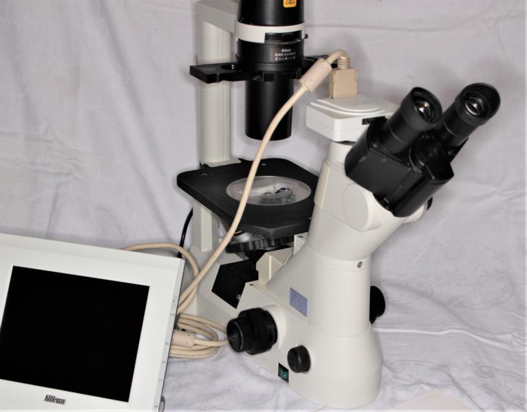 Nikon Eclipse TS100 inverses Mikroskop mit Phasenkontrast, Kamera und Bildschirm – Optik-Online