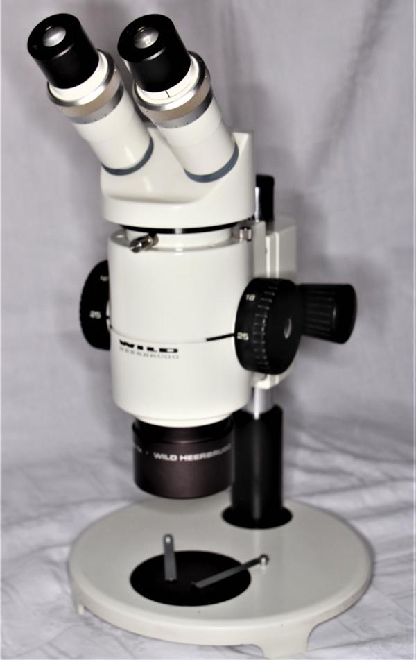 Wild M8 ZOOM Stereomikroskop mit LED Beleuchtung – Optik-Online