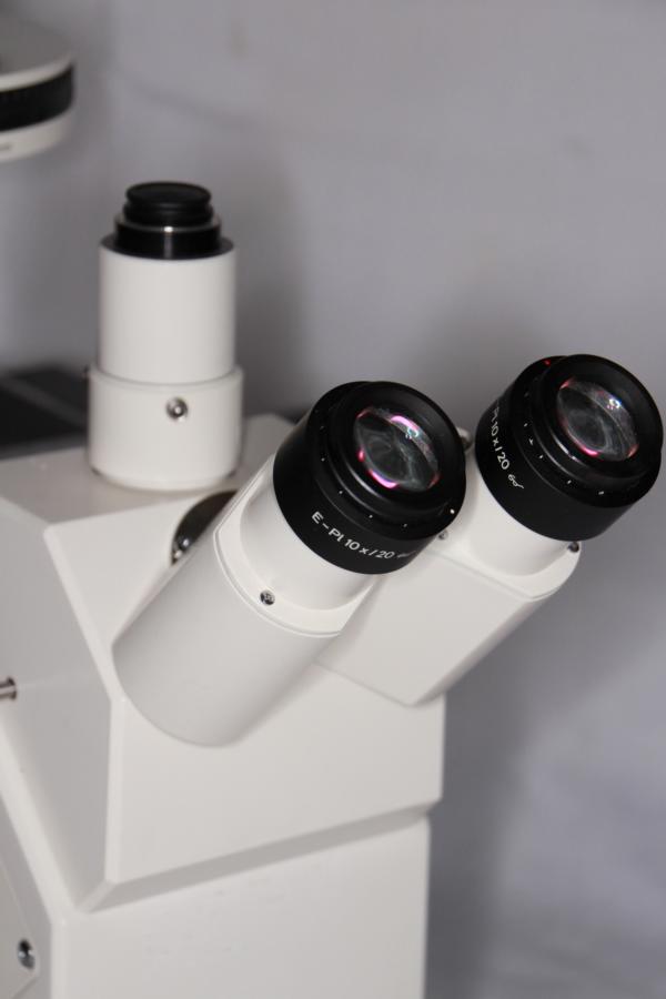 Zeiss inverses Mikroskop Axiovert S100 mit Varel Phasenkontrast – Optik ...