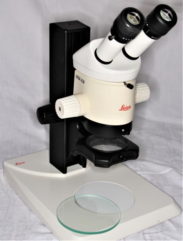 Leica MZ6 ZOOM Stereomikroskop mit Leica LED Auflicht-/Durchlichtstativ ...