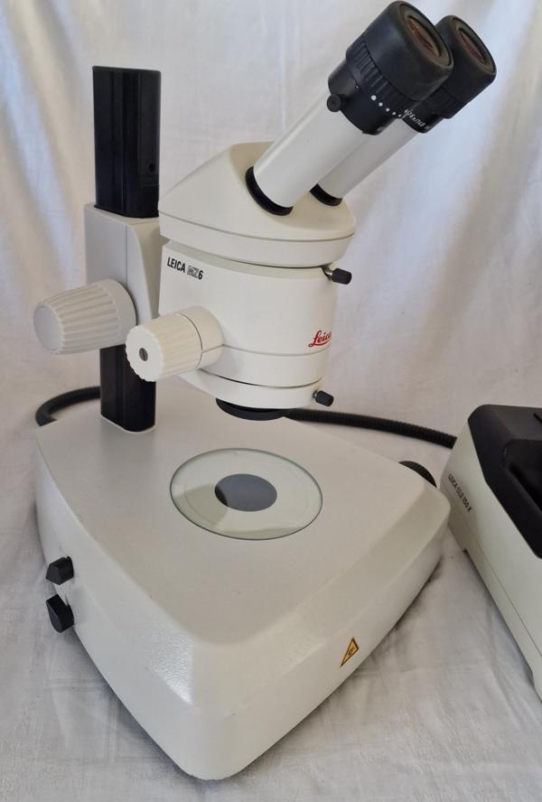 Leica MZ6 ZOOM Stereomikroskop mit Rottermanntisch und Kaltlichtquelle ...