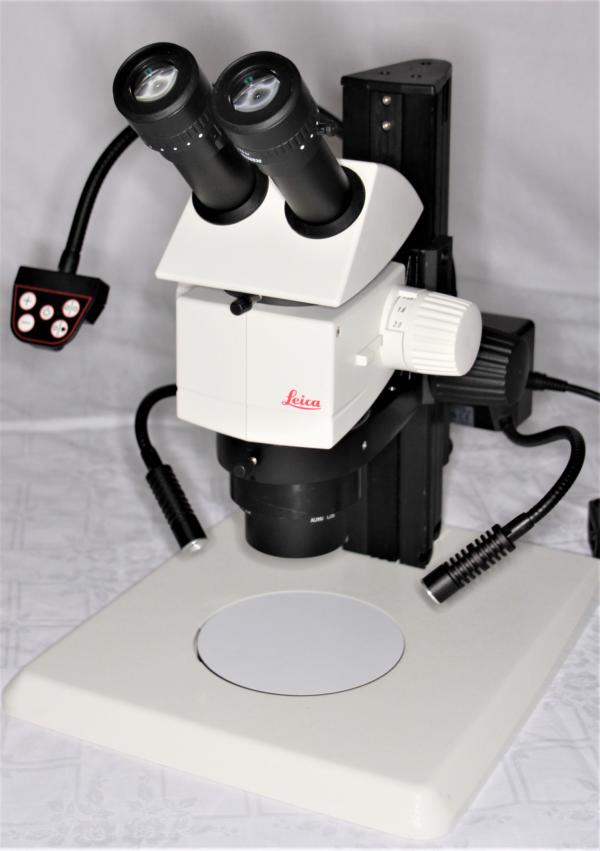 Leica M80 ZOOM Stereomikroskop mit LED Beleuchtung – Optik-Online