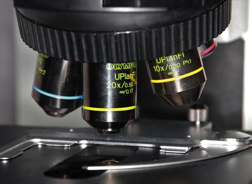 Olympus BX50 Durchlichtmikroskop mit Phasenkontrast und Trinokulartubus ...