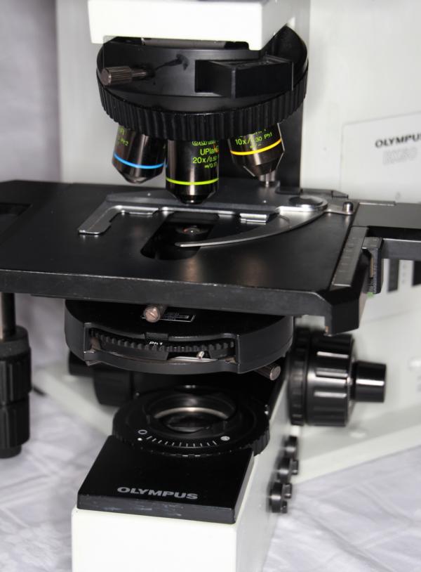 Olympus BX50 Durchlichtmikroskop mit Phasenkontrast und Trinokulartubus ...