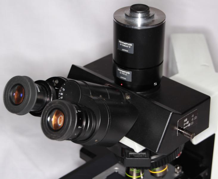 Olympus BX50 Durchlichtmikroskop mit Phasenkontrast und Trinokulartubus ...