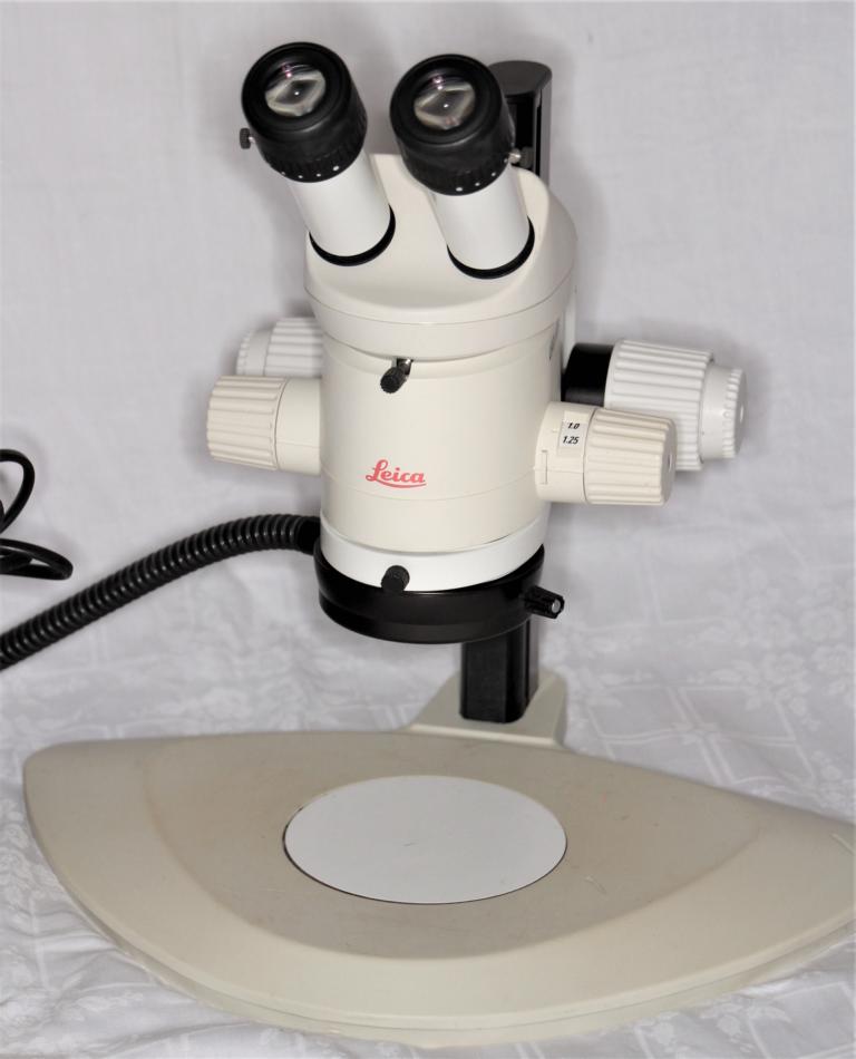 Leica MZ6 ZOOM Stereomikroskop mit Koaxialtrieb und ...