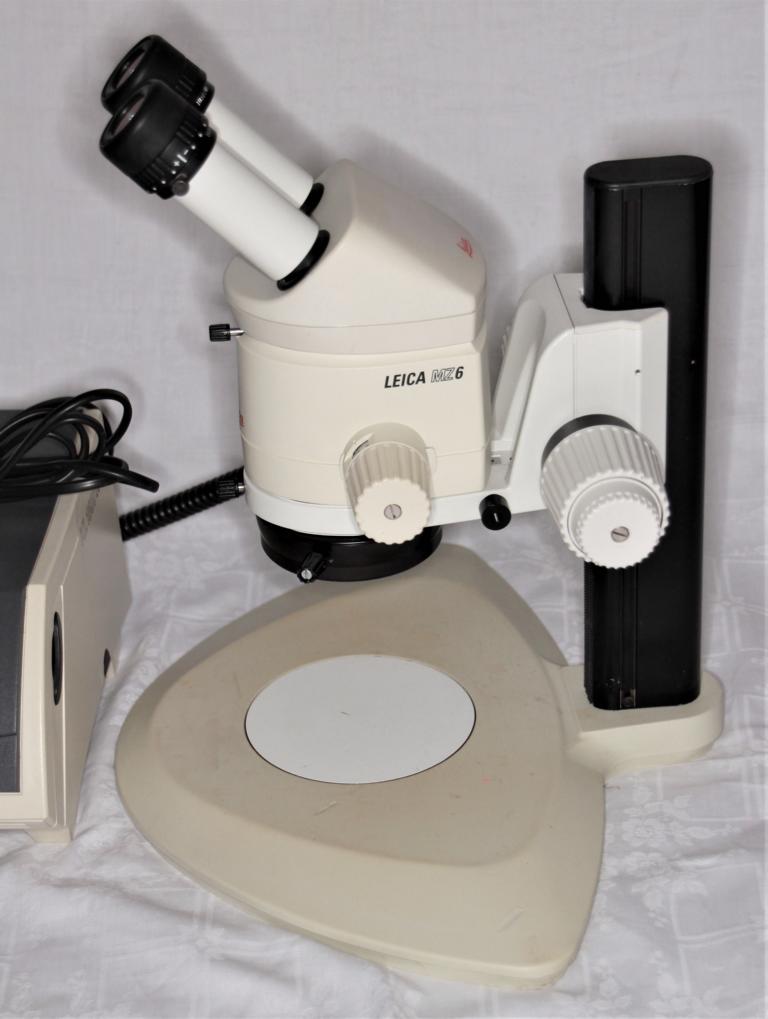 Leica MZ6 ZOOM Stereomikroskop mit Koaxialtrieb und ...