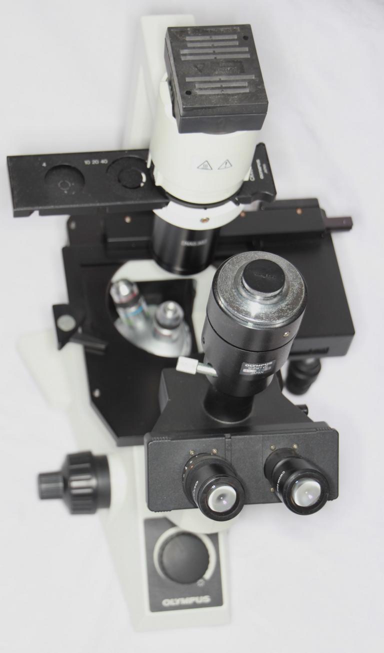 Olympus CK 40 inverses Mikroskop mit Phasenkontrast und Trinokulartubus ...